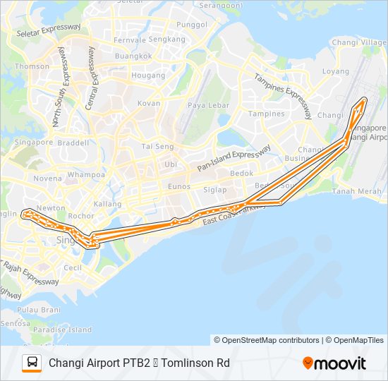 36 Route: Schedules, Stops & Maps - Changi Airport Ptb2 (Updated)