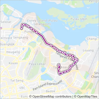 39 Route: Schedules, Stops & Maps - Tampines Concourse Int (Updated)