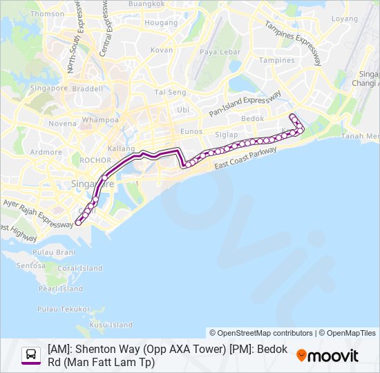 10e Route Schedules Stops Maps Bedok Rd Man Fatt Lam Tp Updated 