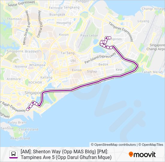 513 Route: Schedules, Stops & Maps - Tampines Ave 5 (Opp Darul Ghufran ...