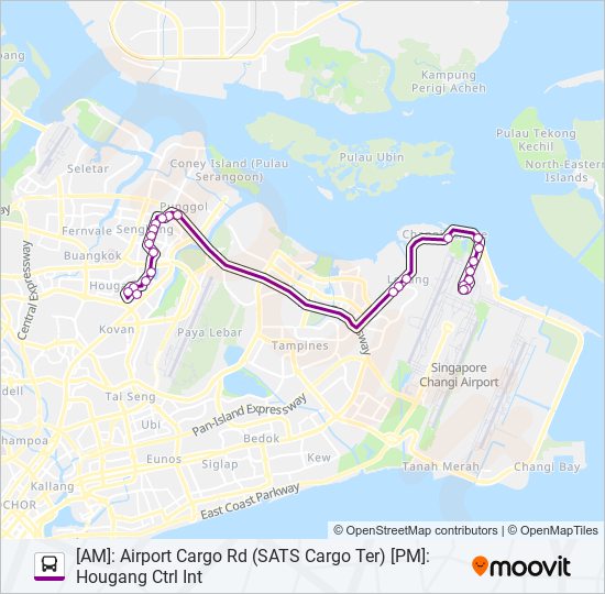 89e Route: Schedules, Stops & Maps - Hougang Ctrl Int (Updated)