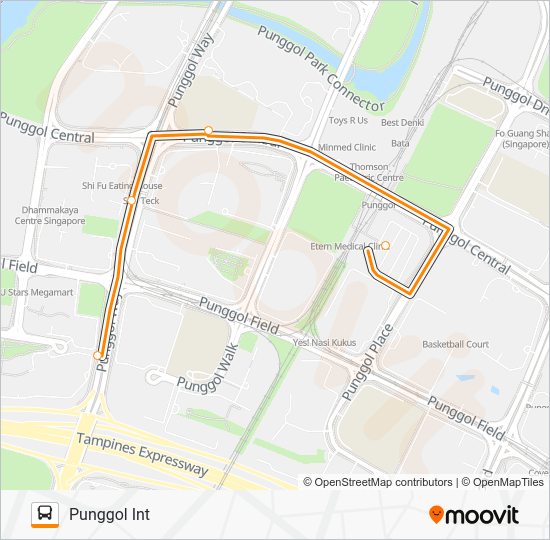 118 Route: Schedules, Stops & Maps - Punggol Temp Int (Updated)