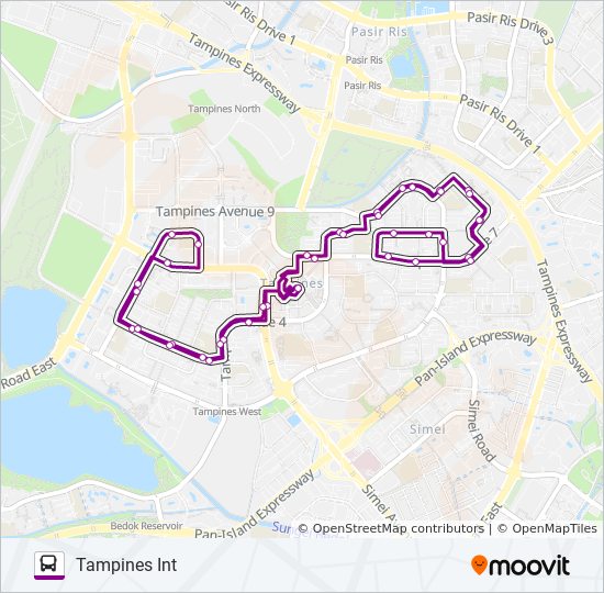 293 Route: Schedules, Stops & Maps - Tampines Int (Updated)