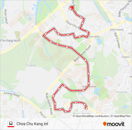 991 Route: Schedules, Stops & Maps - Choa Chu Kang Int (Updated)