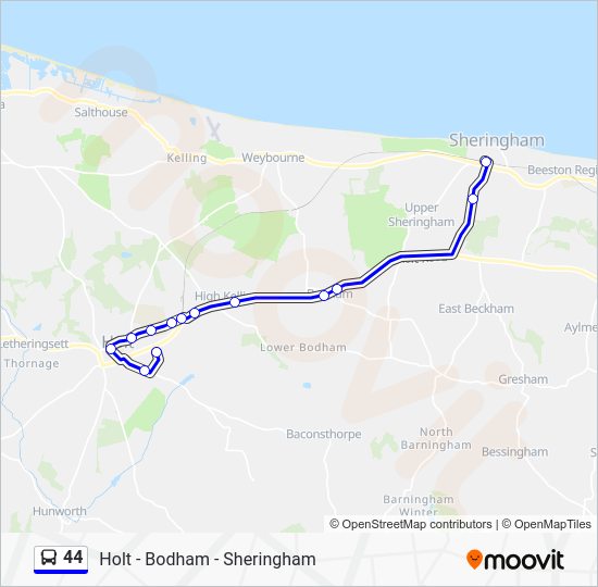 44 Route: Schedules, Stops & Maps - Holt (Updated)