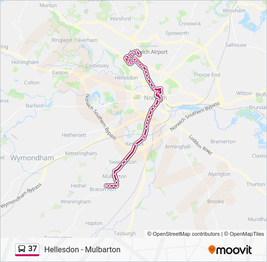 37 Route: Schedules, Stops & Maps - Mulbarton (Updated)