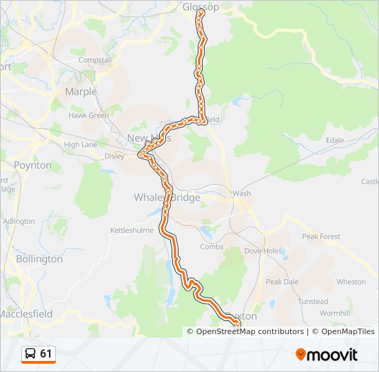61 Route: Schedules, Stops & Maps - (Updated)