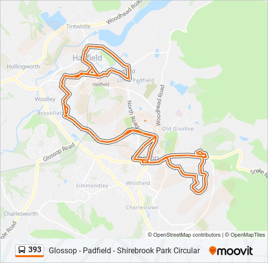 393 Route: Schedules, Stops & Maps - Glossop (Updated)