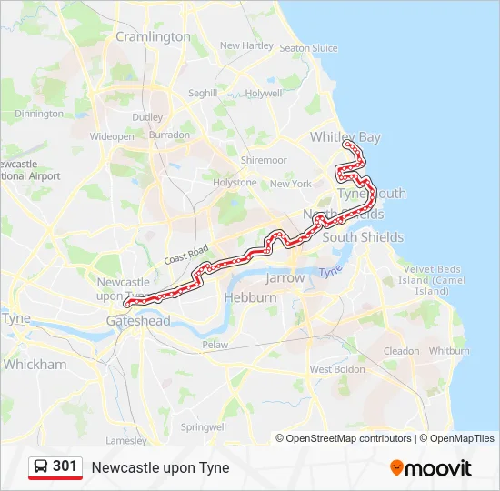 301 Route: Schedules, Stops & Maps - Newcastle upon Tyne (Updated)