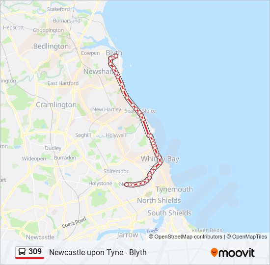 309 Route: Schedules, Stops & Maps - New York (Updated)