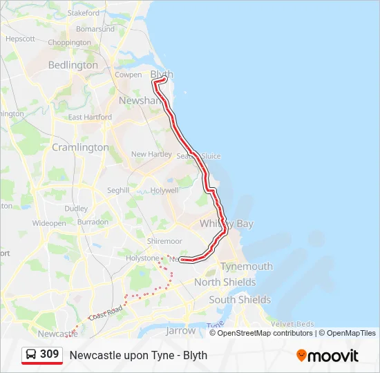 309 Route: Schedules, Stops & Maps - Blyth (Updated)