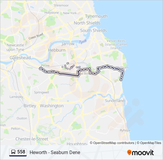 558 Route: Schedules, Stops & Maps - Seaburn (Updated)