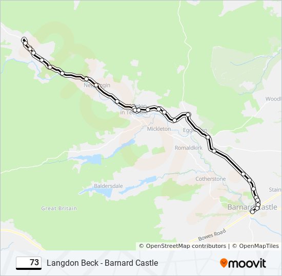 73 Route: Schedules, Stops & Maps - Barnard Castle (Updated)
