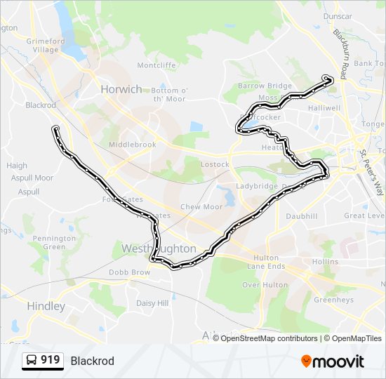919 Route: Schedules, Stops & Maps - Blackrod (Updated)