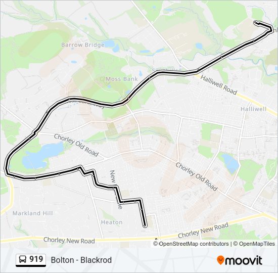 919 Route: Schedules, Stops & Maps - Oldhams Estate (Updated)