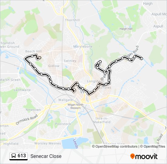 613 Route: Schedules, Stops & Maps - Senecar Close (Updated)