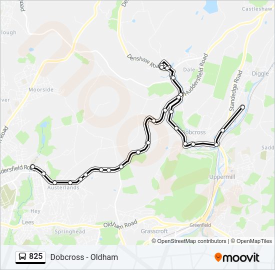 825 Route: Schedules, Stops & Maps - Diggle (Updated)