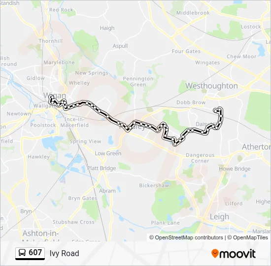 607 Route: Schedules, Stops & Maps - Ivy Road (Updated)