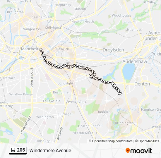205 Route: Schedules, Stops & Maps - Windermere Avenue (Updated)