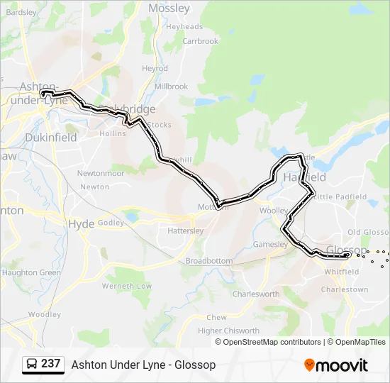 237 Route: Schedules, Stops & Maps - Henry Street (Updated)