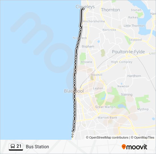 21 Route: Schedules, Stops & Maps - Bus Station (Updated)
