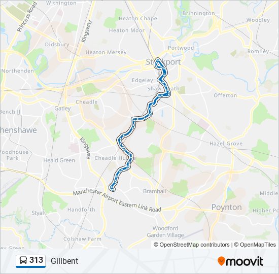 313 Route: Schedules, Stops & Maps - Gillbent (Updated)
