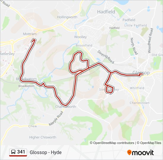 341 Route: Schedules, Stops & Maps - Henry Street (Updated)