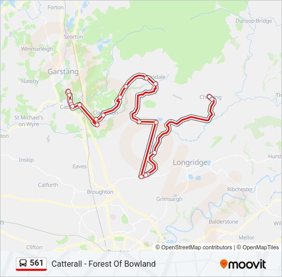 561 Route: Schedules, Stops & Maps - Chipping (Updated)