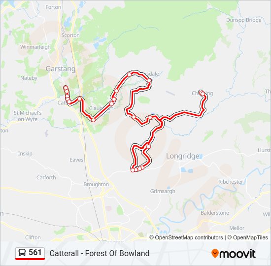 561 Route: Schedules, Stops & Maps - Bowgreave (Updated)