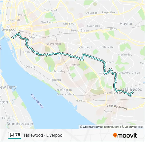 75 Route: Schedules, Stops & Maps - Liverpool One (Updated)