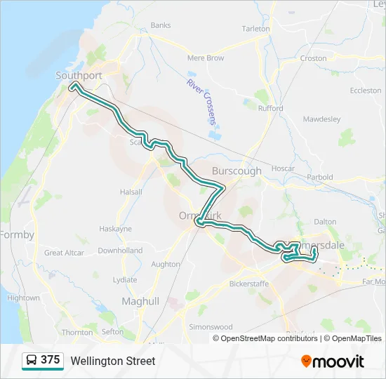 375 Route: Schedules, Stops & Maps - Wellington Street (Updated)