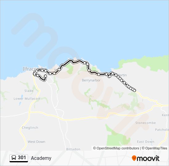 301 Route: Schedules, Stops & Maps - Academy (Updated)