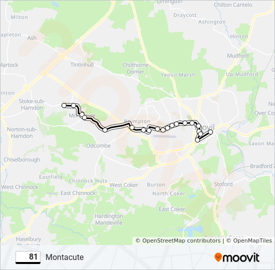 81 Route: Schedules, Stops & Maps - Montacute (Updated)