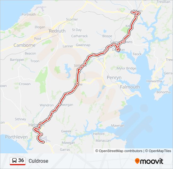 36 Route: Schedules, Stops & Maps - Culdrose (Updated)