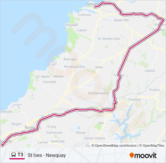 t3 Route: Schedules, Stops & Maps - Camborne (Updated)