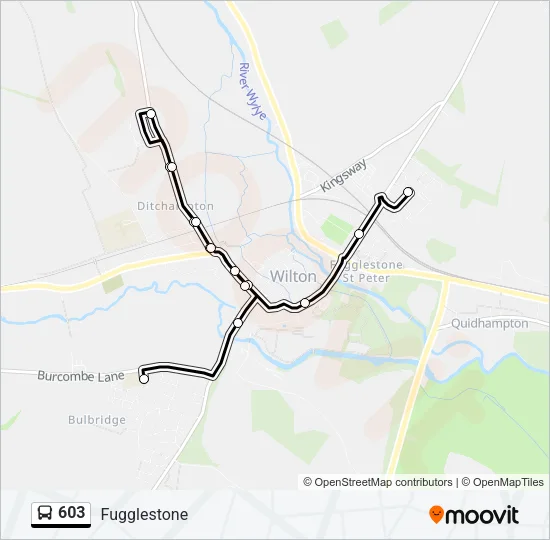 603 Route: Schedules, Stops & Maps - Fugglestone (Updated)
