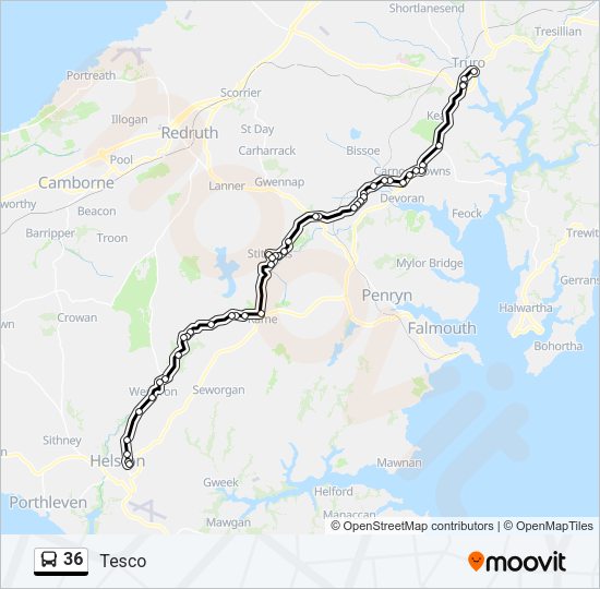 36 Route: Schedules, Stops & Maps - Tesco (Updated)