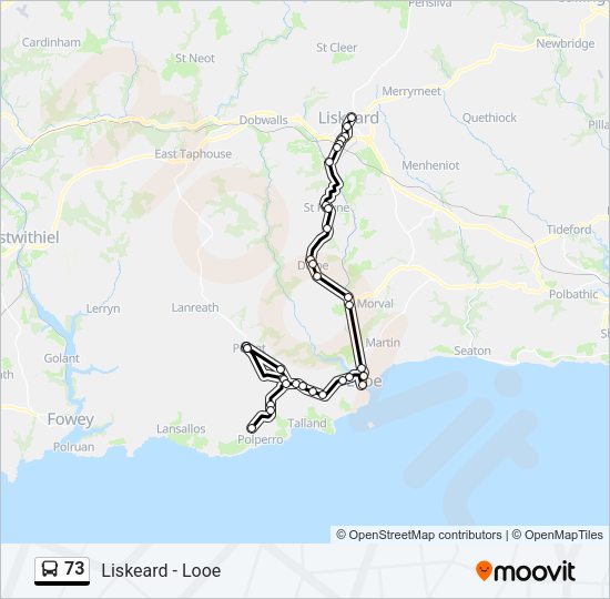 73 Route: Schedules, Stops & Maps - School & Community (Updated)
