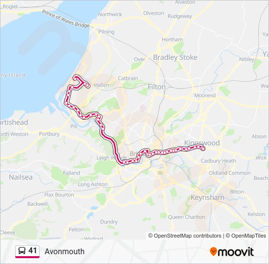 41 Route: Schedules, Stops & Maps - Avonmouth (Updated)