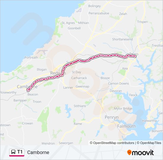 t1 Route: Schedules, Stops & Maps - Camborne (Updated)