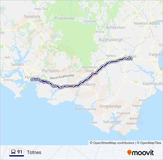 91 Route: Schedules, Stops & Maps - Totnes (Updated)