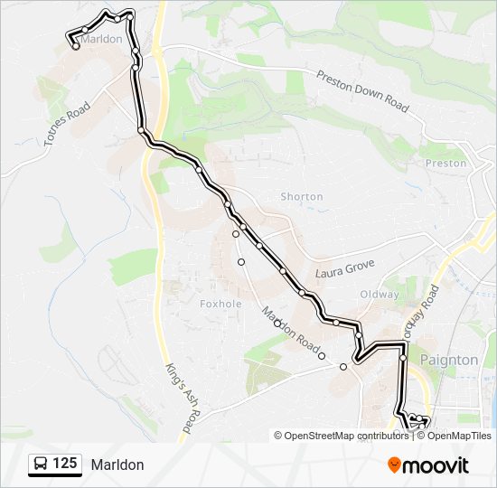 125 Route: Schedules, Stops & Maps - Marldon (Updated)