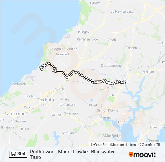 304 Route: Schedules, Stops & Maps - Truro (Updated)