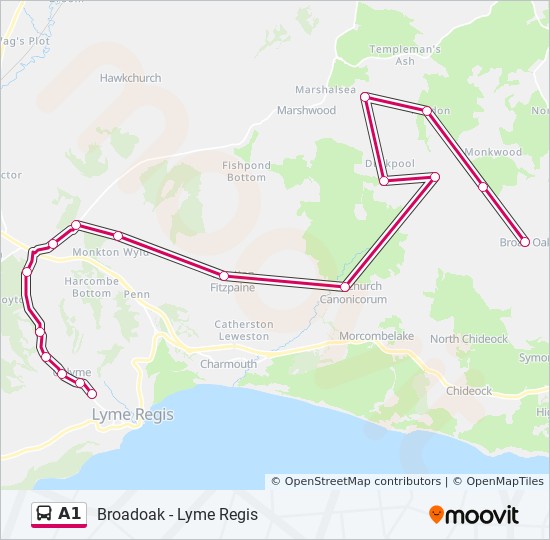 a1 Route: Schedules, Stops & Maps - Broadoak (Updated)
