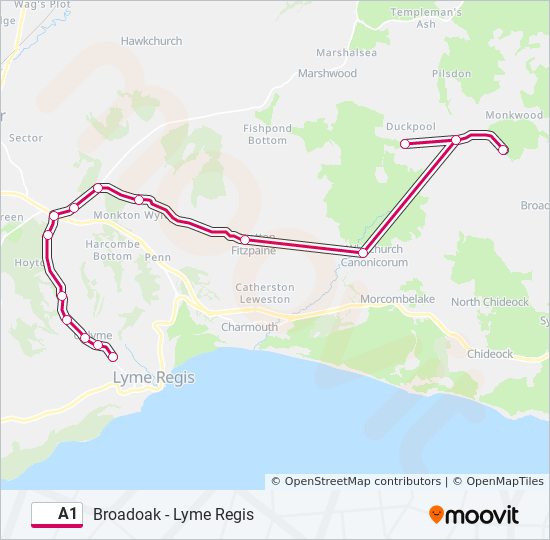 a1 Route: Schedules, Stops & Maps - Lyme Regis (Updated)