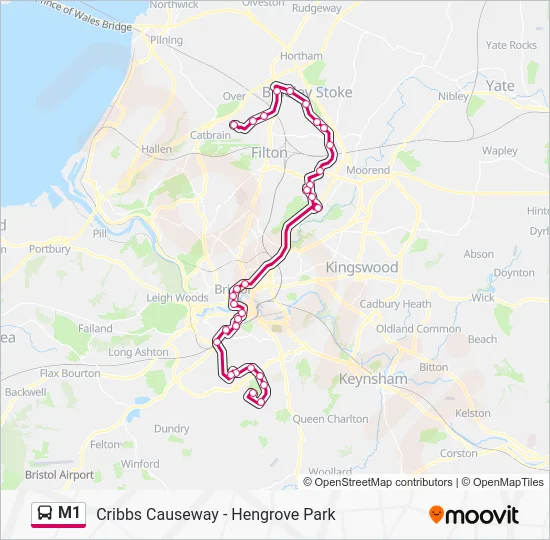 M1 Route: Schedules, Stops & Maps - Hengrove Park (Updated)