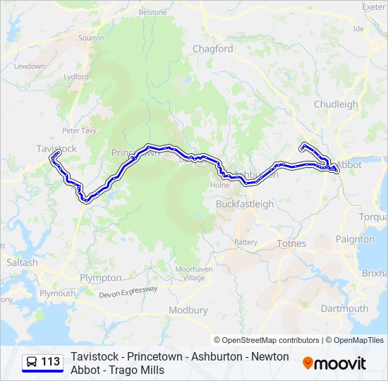 113 Route: Schedules, Stops & Maps - Liverton (Updated)