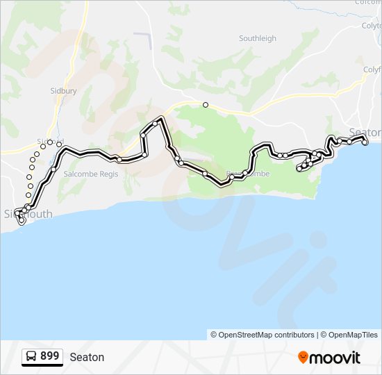 899 Route: Schedules, Stops & Maps - Seaton (Updated)