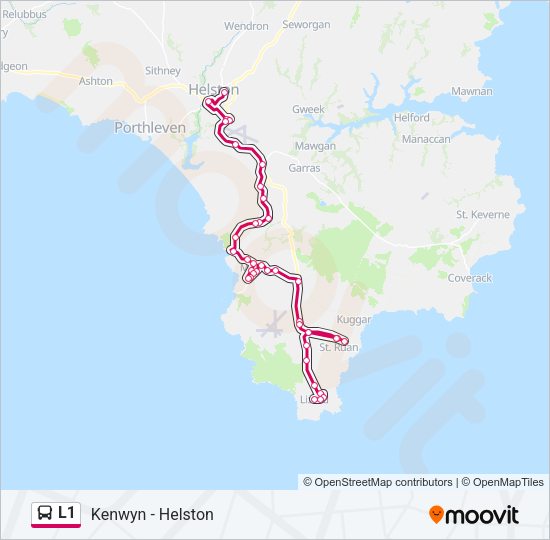L1 Route: Schedules, Stops & Maps - The Lizard Green (Updated)