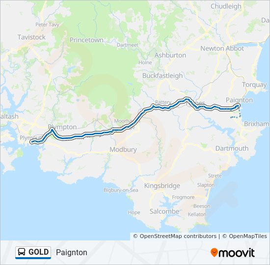 gold Route: Schedules, Stops & Maps - Paignton (Updated)